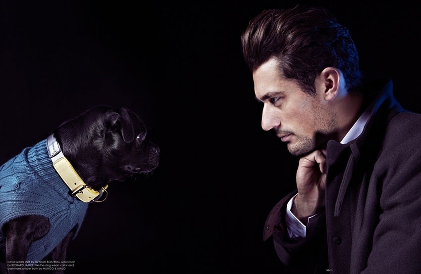 Heart of Gold - Fashionably Male